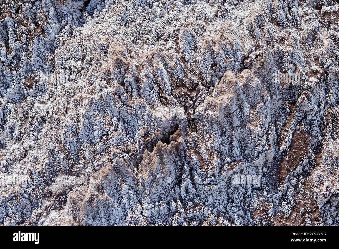 Salinization soil hi-res stock photography and images - Alamy