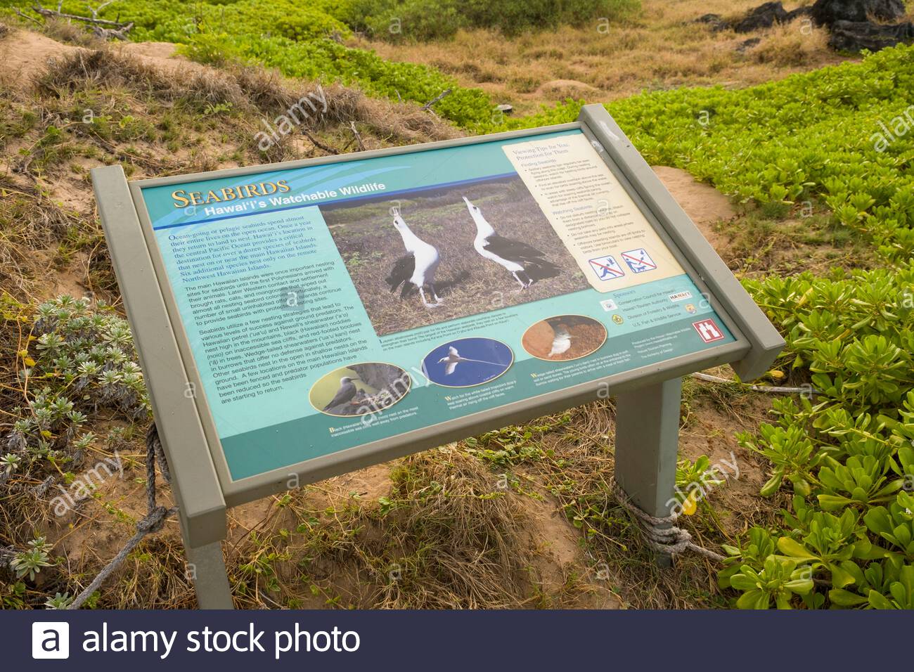 Bird Sanctuary Sign High Resolution Stock Photography and Images - Alamy