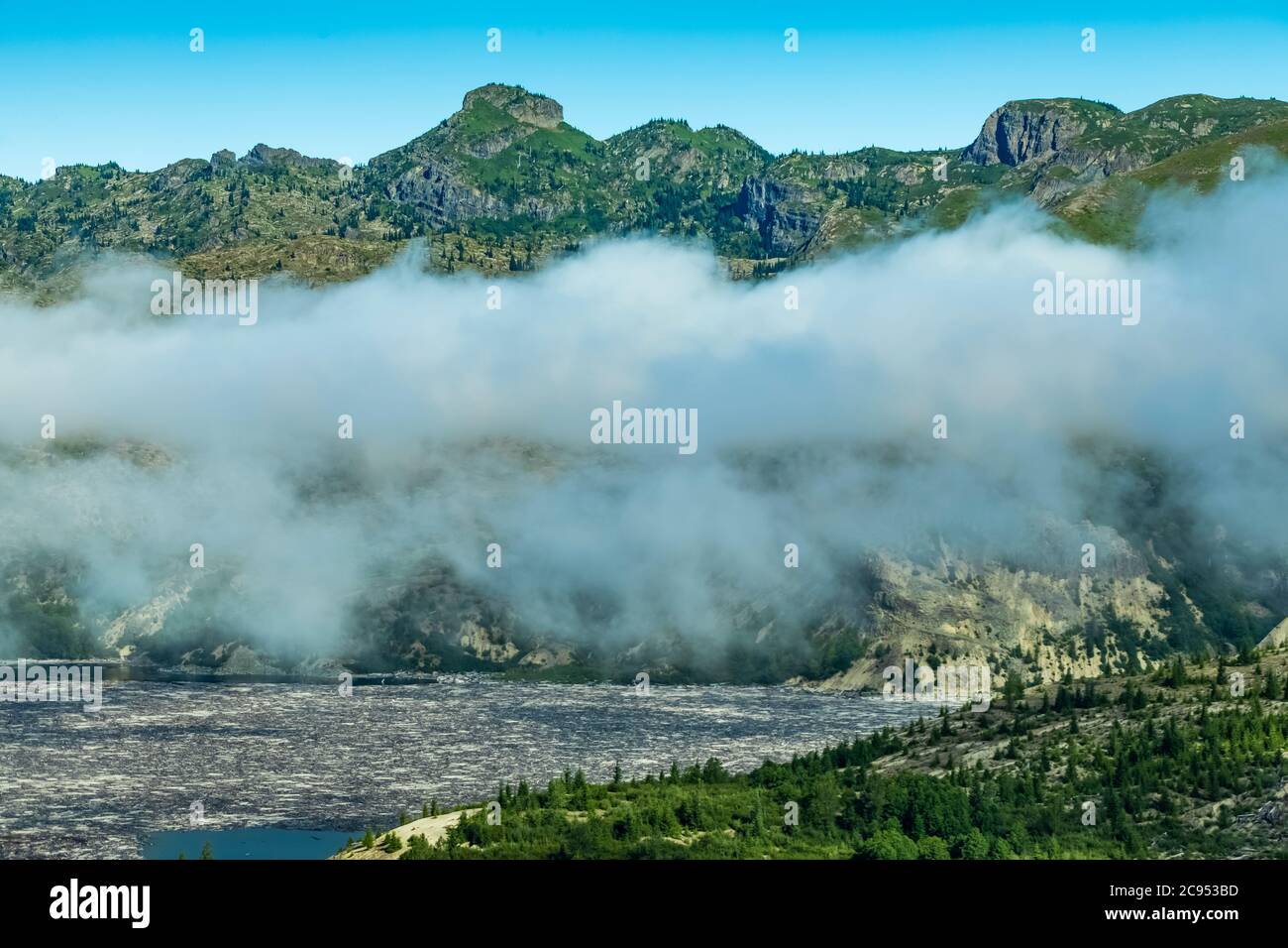 Spirit Lake with floating logs, 40 years after the blast, in Mount St ...