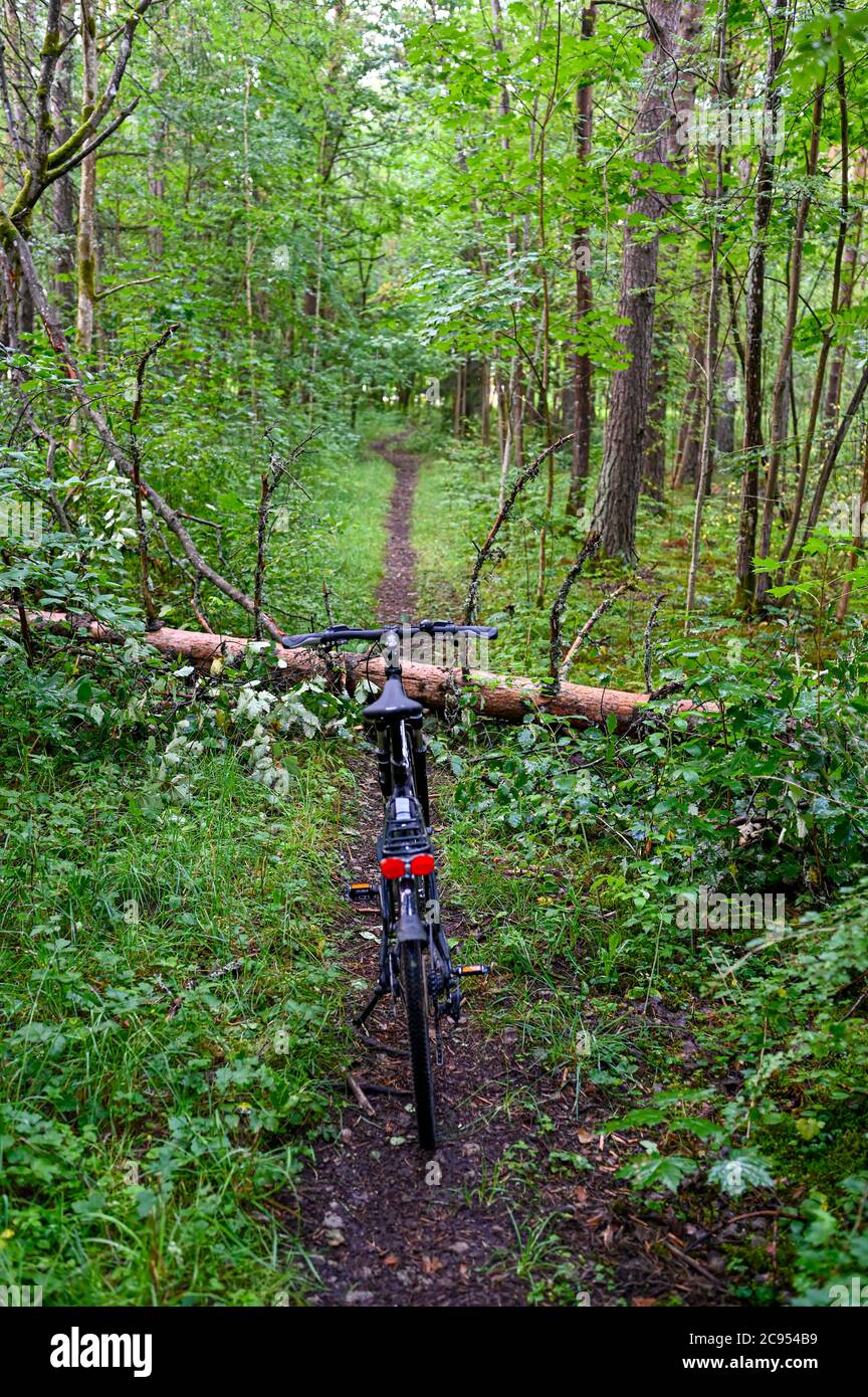 bicycle standing on trail infront of fallen tree trunk Stock Photo - Alamy