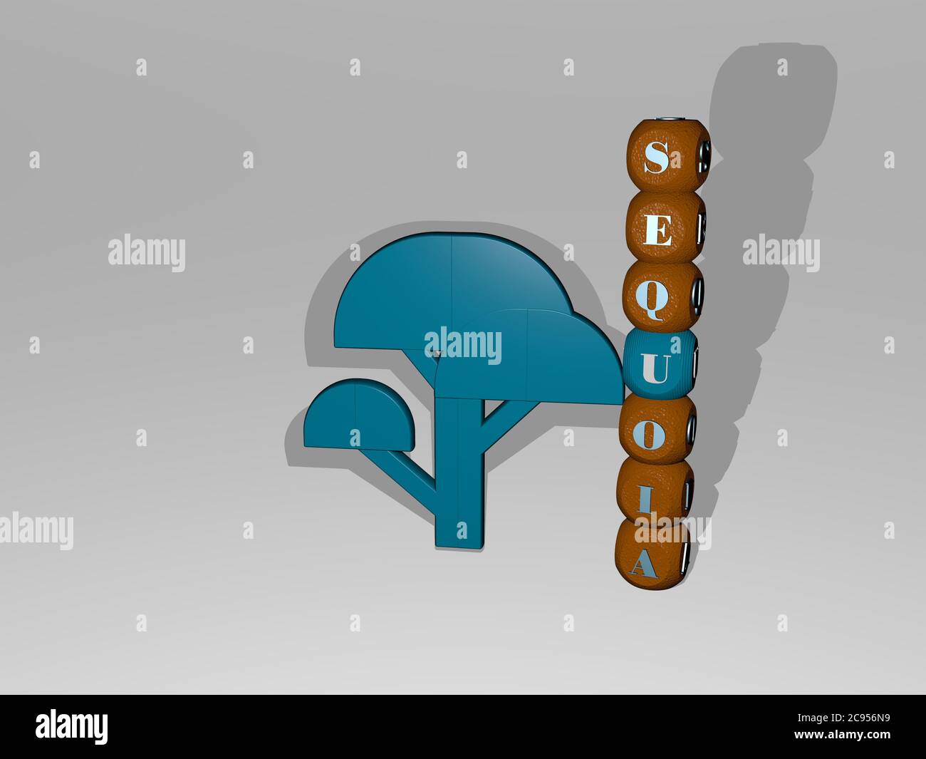 3D illustration of SEQUOIA graphics and text around the icon made by ...