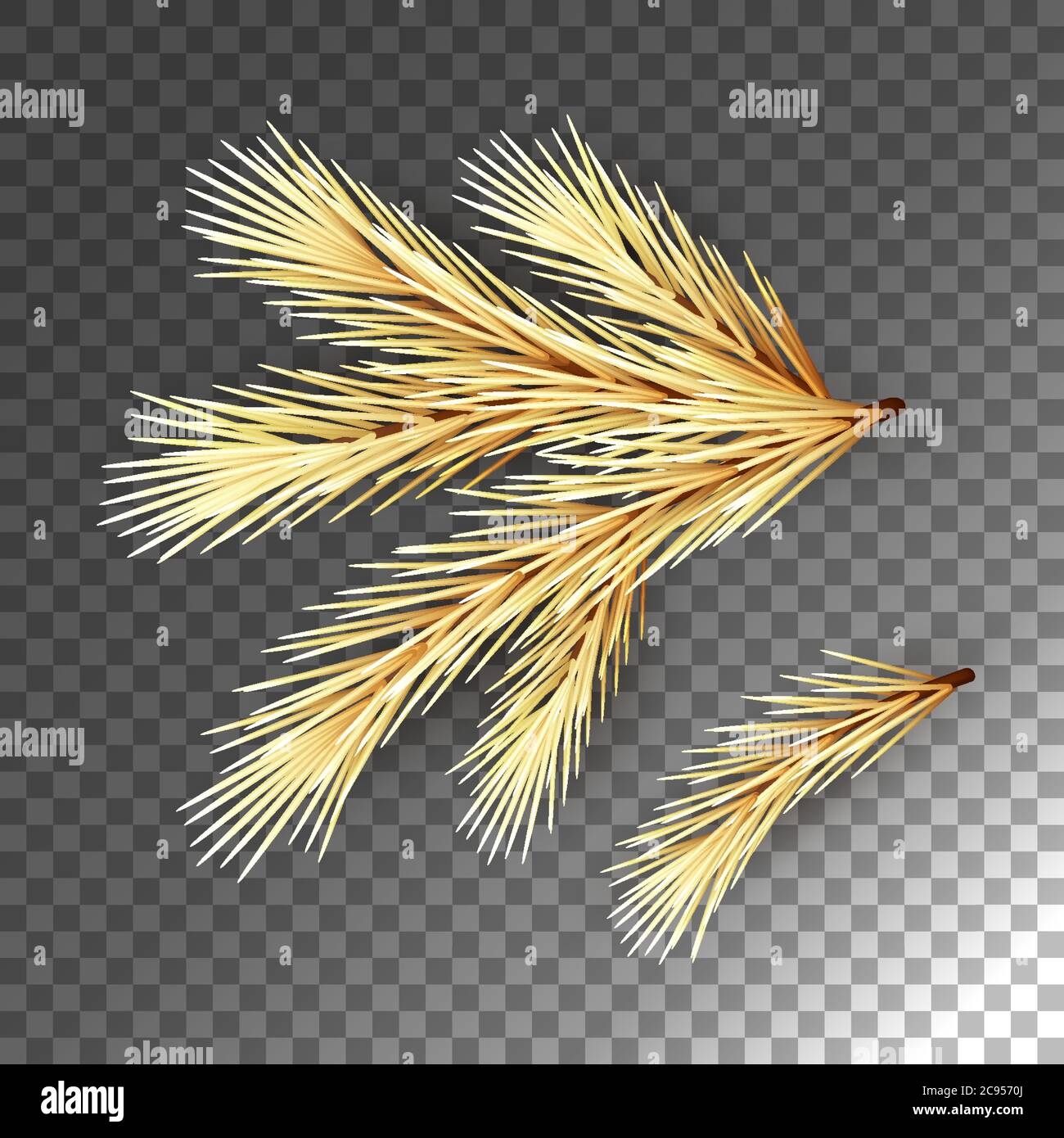 Fir tree branch set Stock Vector Images - Alamy