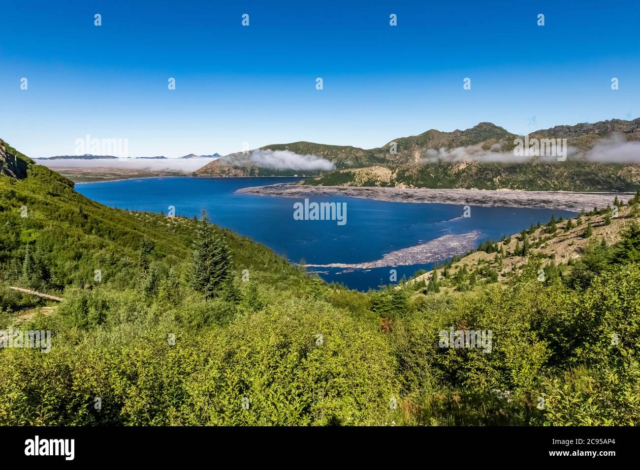 Spirit Lake with floating logs, 40 years after the blast, in Mount St ...