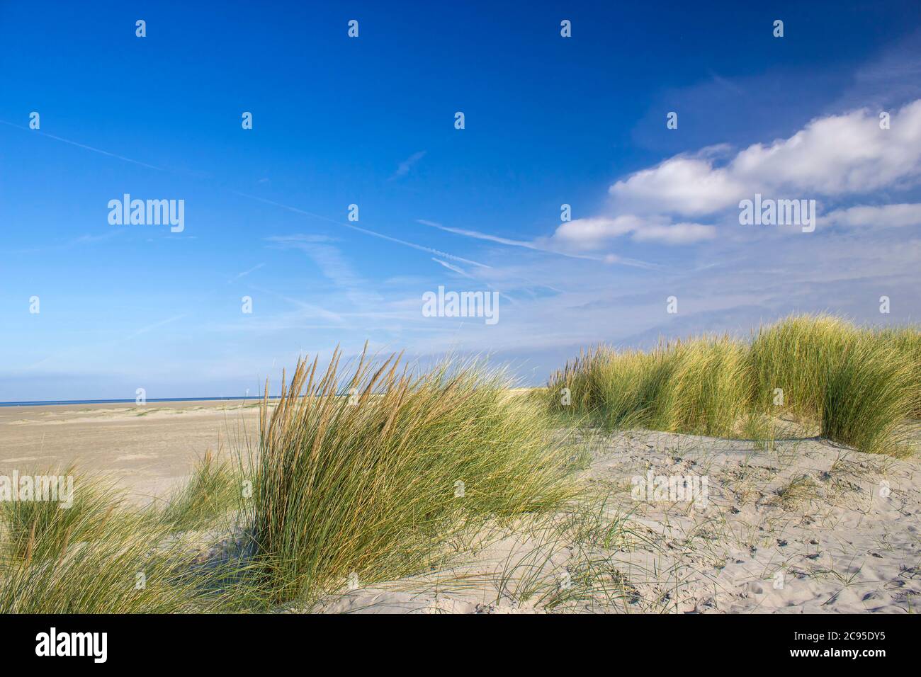 Renesse holland hi-res stock photography and images - Alamy