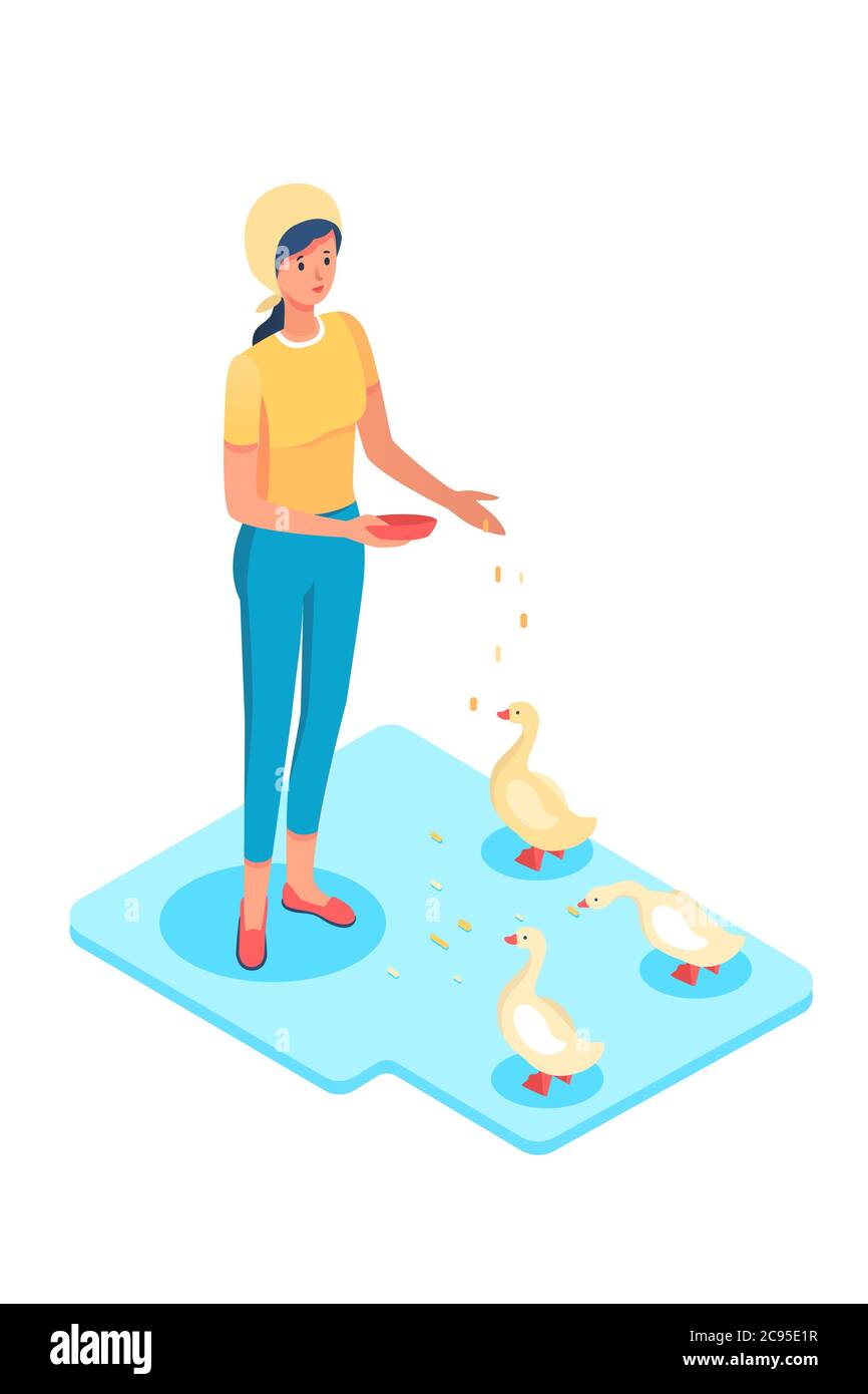 Female duck feeding Stock Vector Images - Alamy