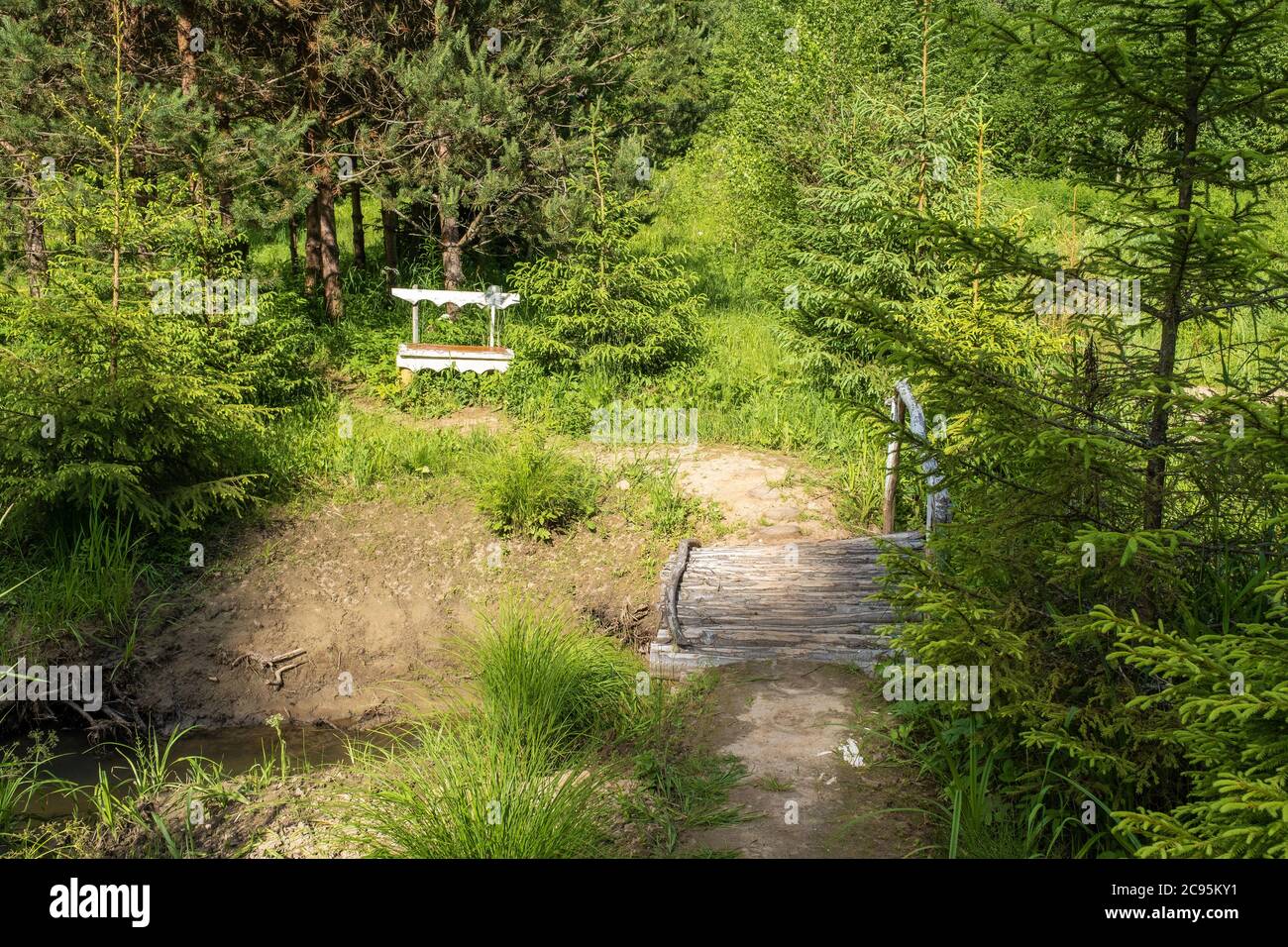 Small wooden footbridge over a forest stream and a bench under a pine ...