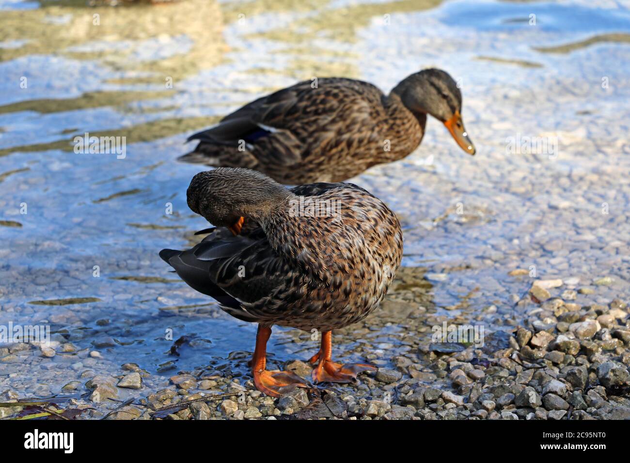 Shore of the wash hi-res stock photography and images - Alamy