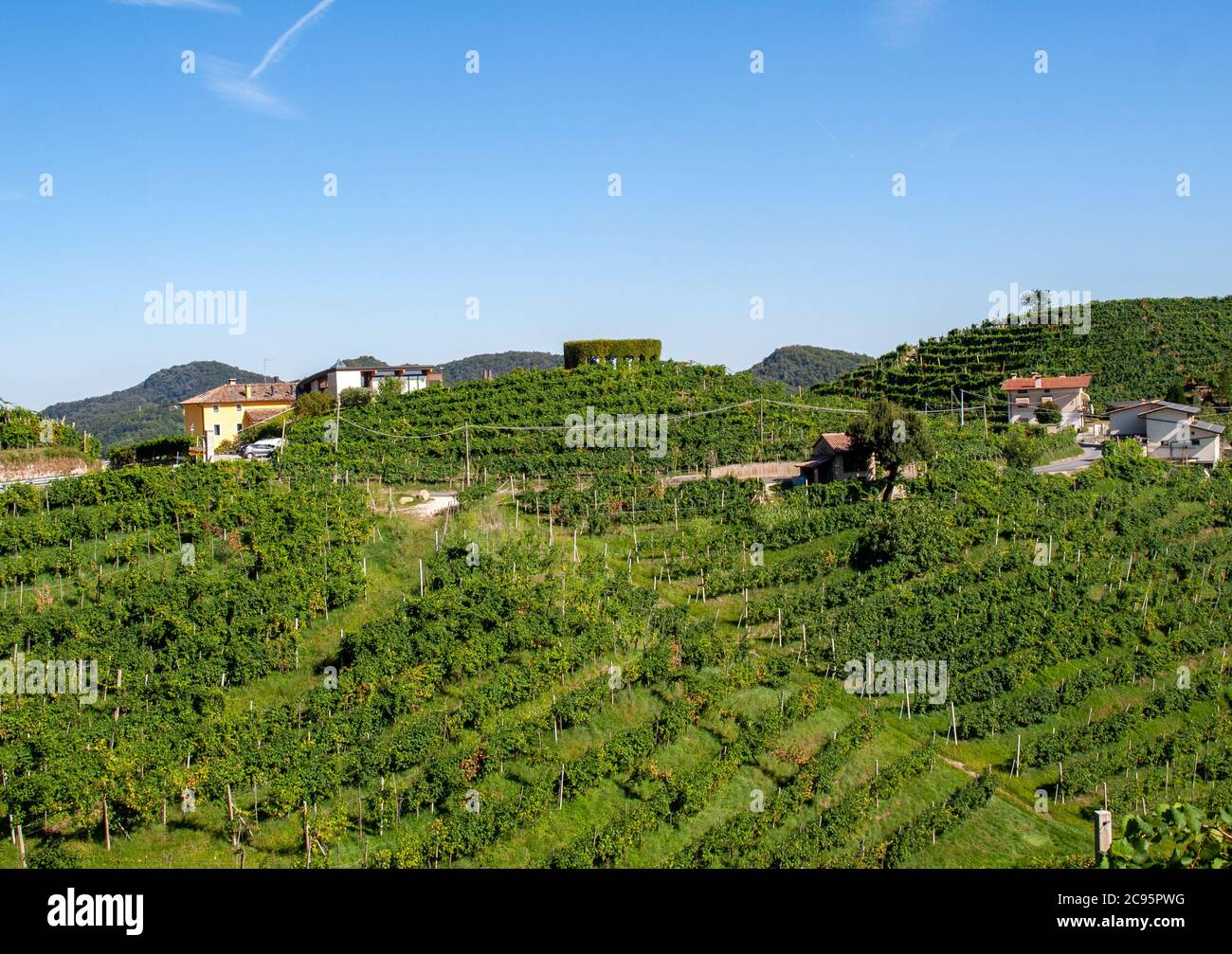 Picturesque hills with vineyards of the Prosecco sparkling wine region ...