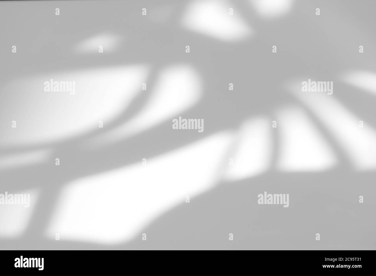 Organic drop shadow on a white wall Stock Photo - Alamy