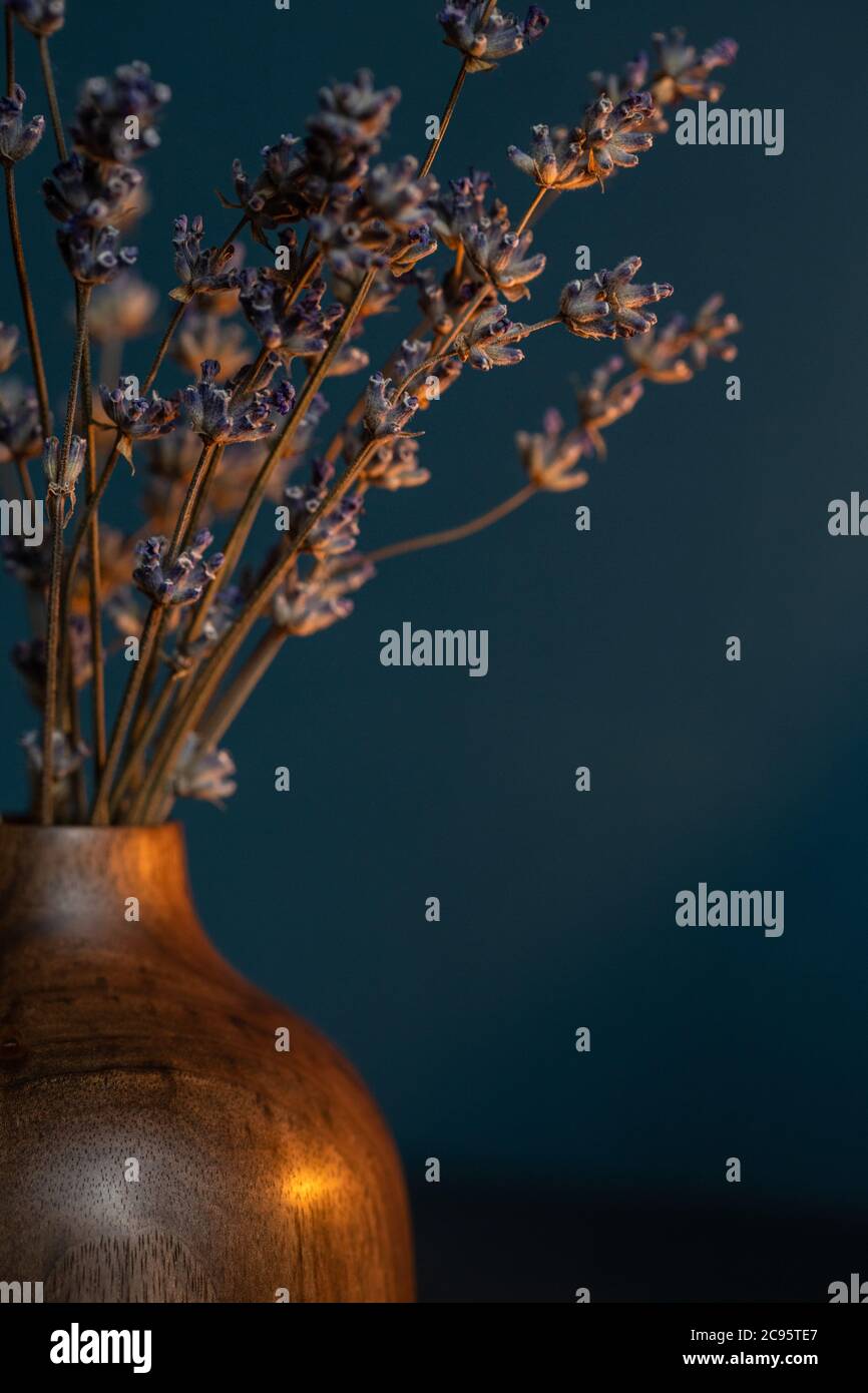 Dried lavender in wooden vase on dark blue background with copy space ...