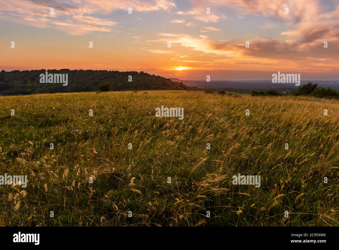 Berkshire Hampshire Border High Resolution Stock Photography and Images ...