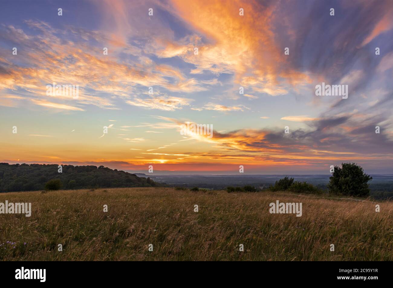 Berkshire Hampshire Border High Resolution Stock Photography and Images ...