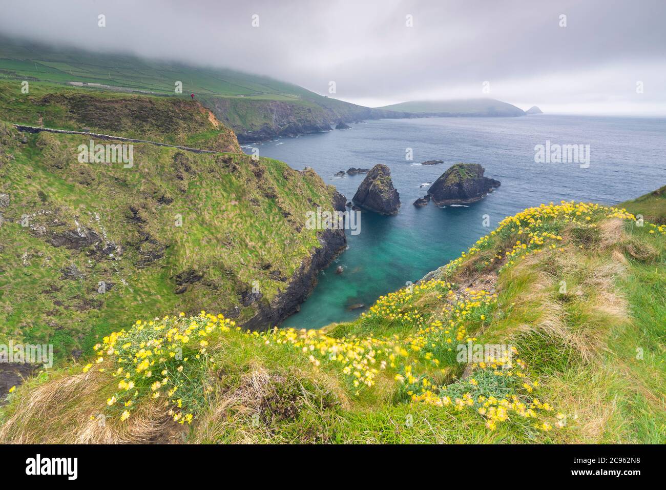 The stunning view of the Blasket islands from the Dunquin pier (Dún ...