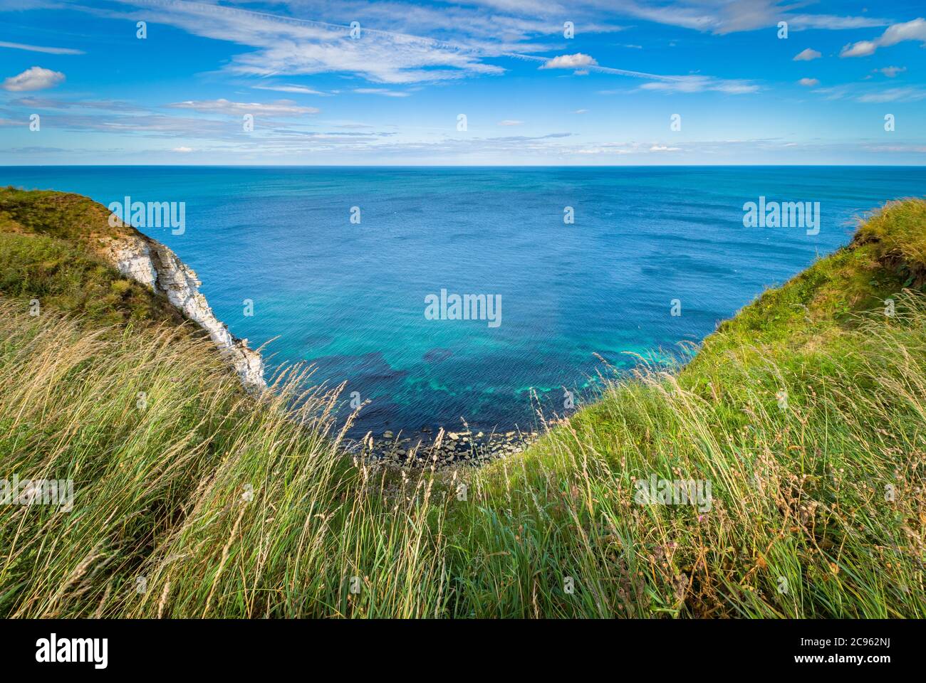 Glorious weather at Bempton Cliffs RSPB in Yorkshire Stock Photo - Alamy