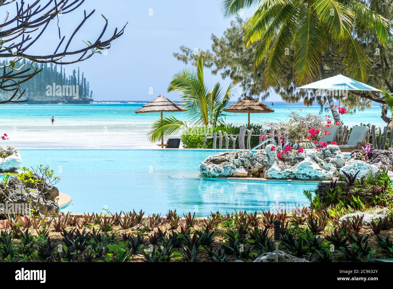 tropical beach with palm trees. swimming pool in the foreground. Pines ...