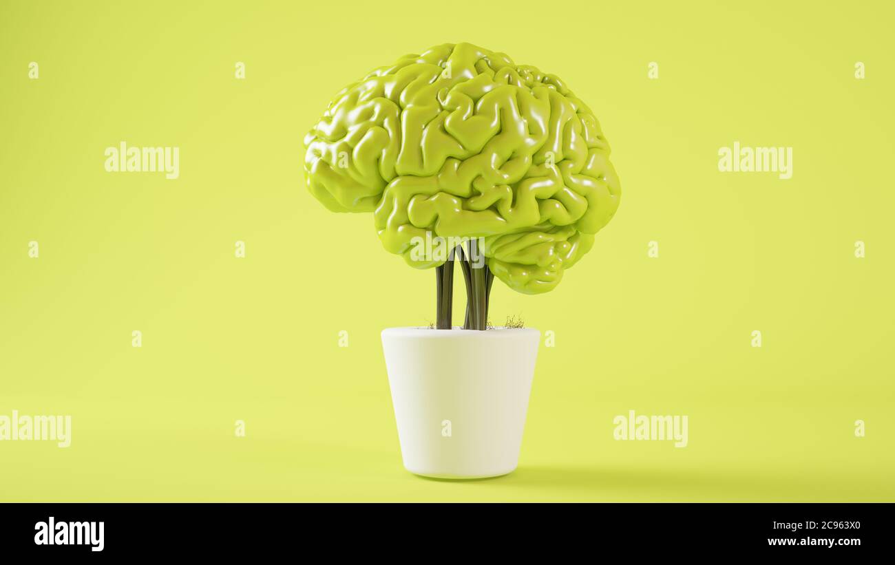 Green brain tree concept 3d rendering Stock Photo - Alamy