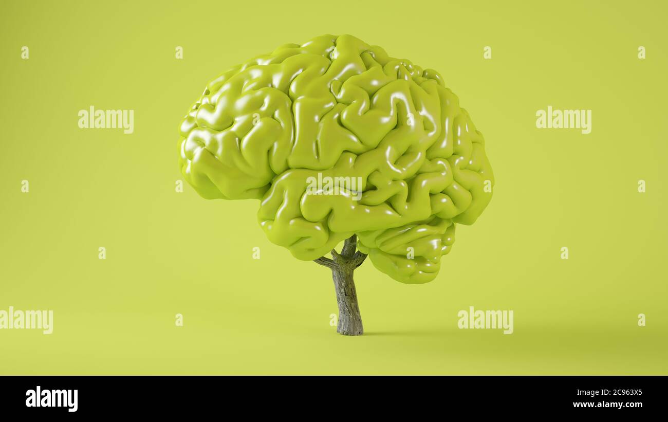 Green brain tree concept 3d rendering Stock Photo - Alamy