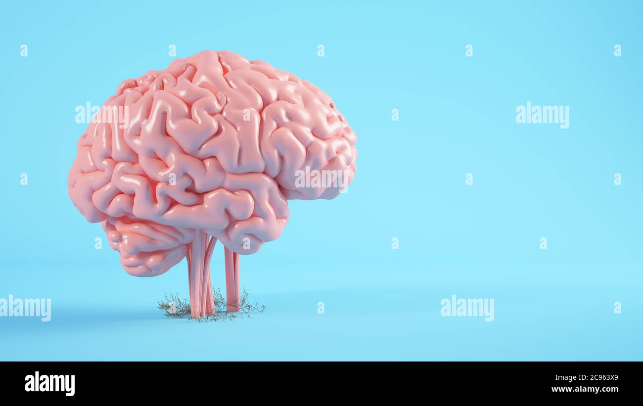 Brain plant sprout concept 3d rendering Stock Photo - Alamy