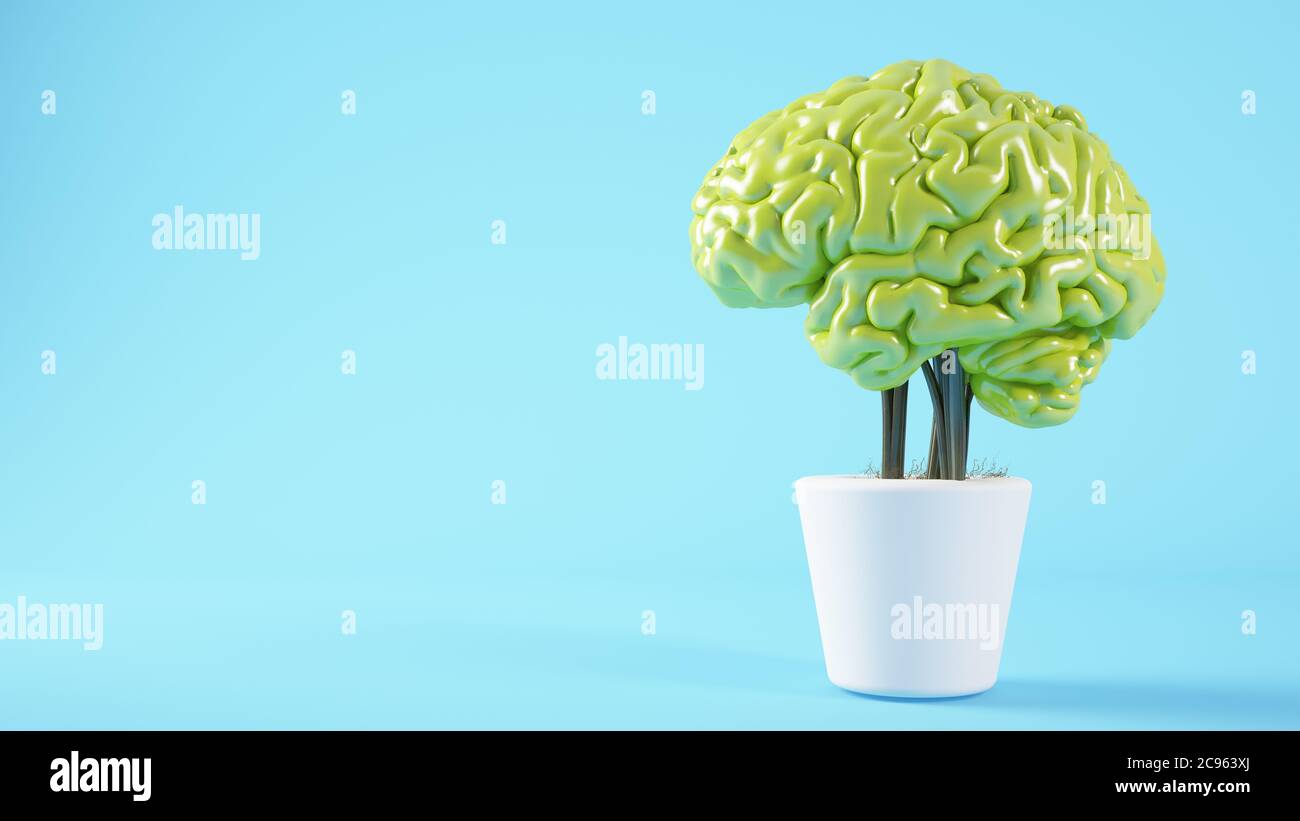 Green brain plant on blue background 3d rendering Stock Photo - Alamy