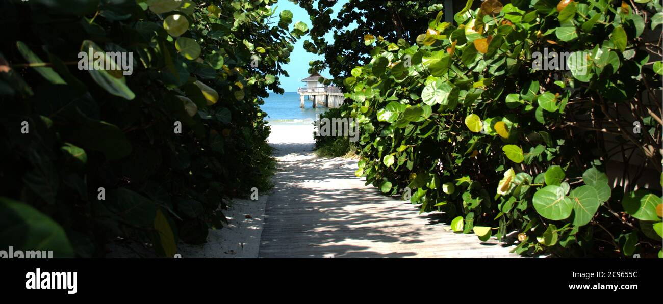 Quiet and restful beach scene hi-res stock photography and images - Alamy