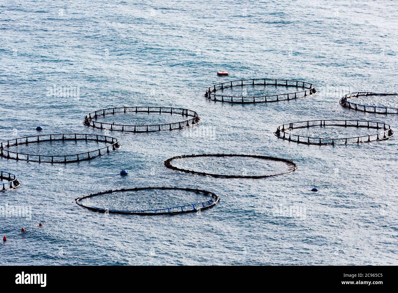 Aquafarming hi-res stock photography and images - Alamy