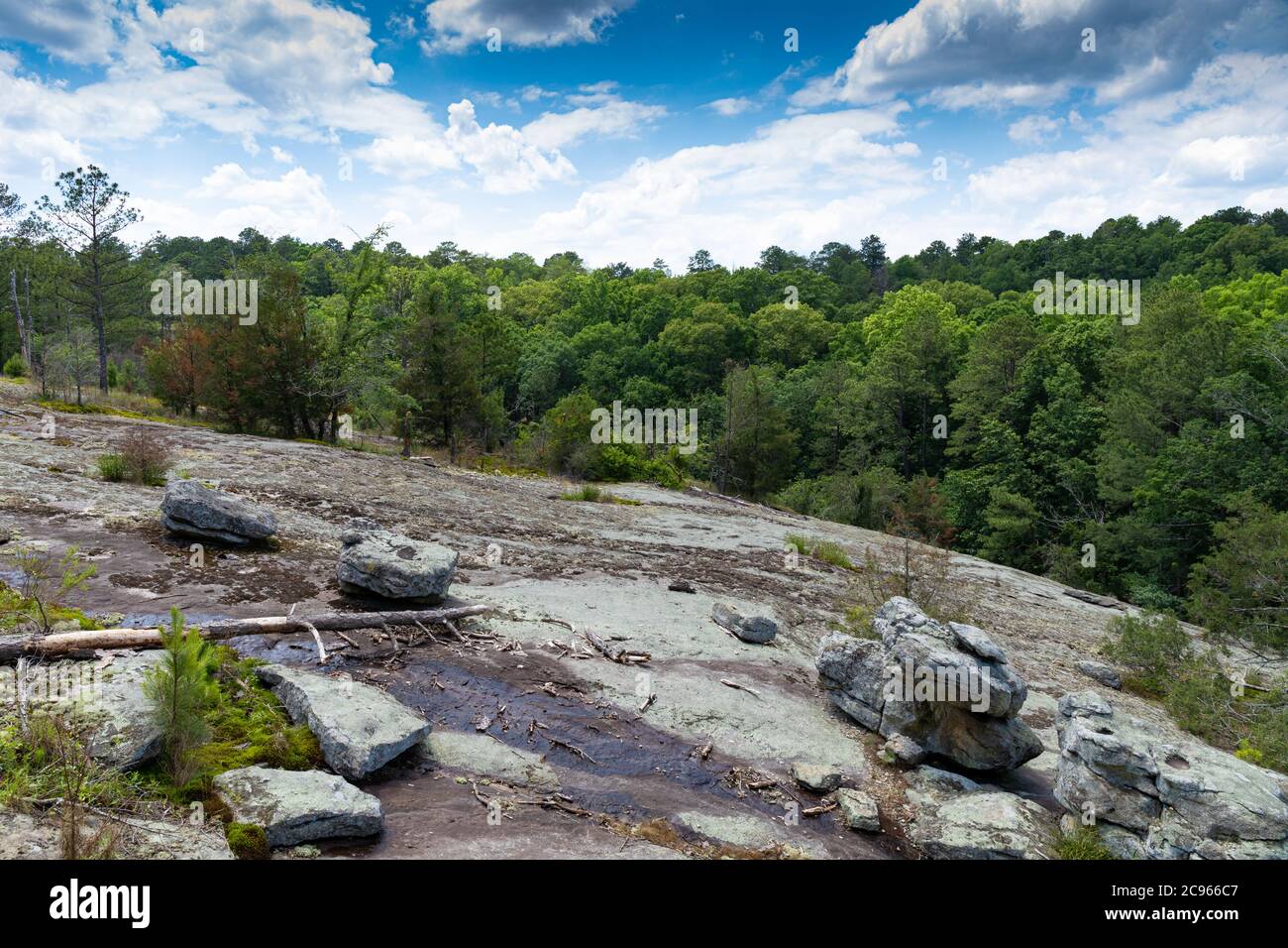 Sloping view from atop a large granite monadnock, Panola Mountain ...