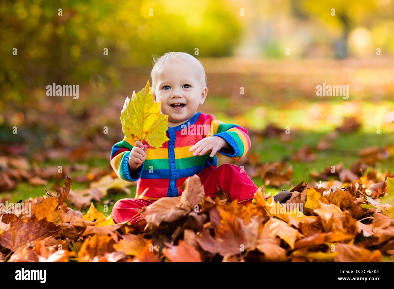 Kids play in autumn park. Children throwing yellow and red leaves ...