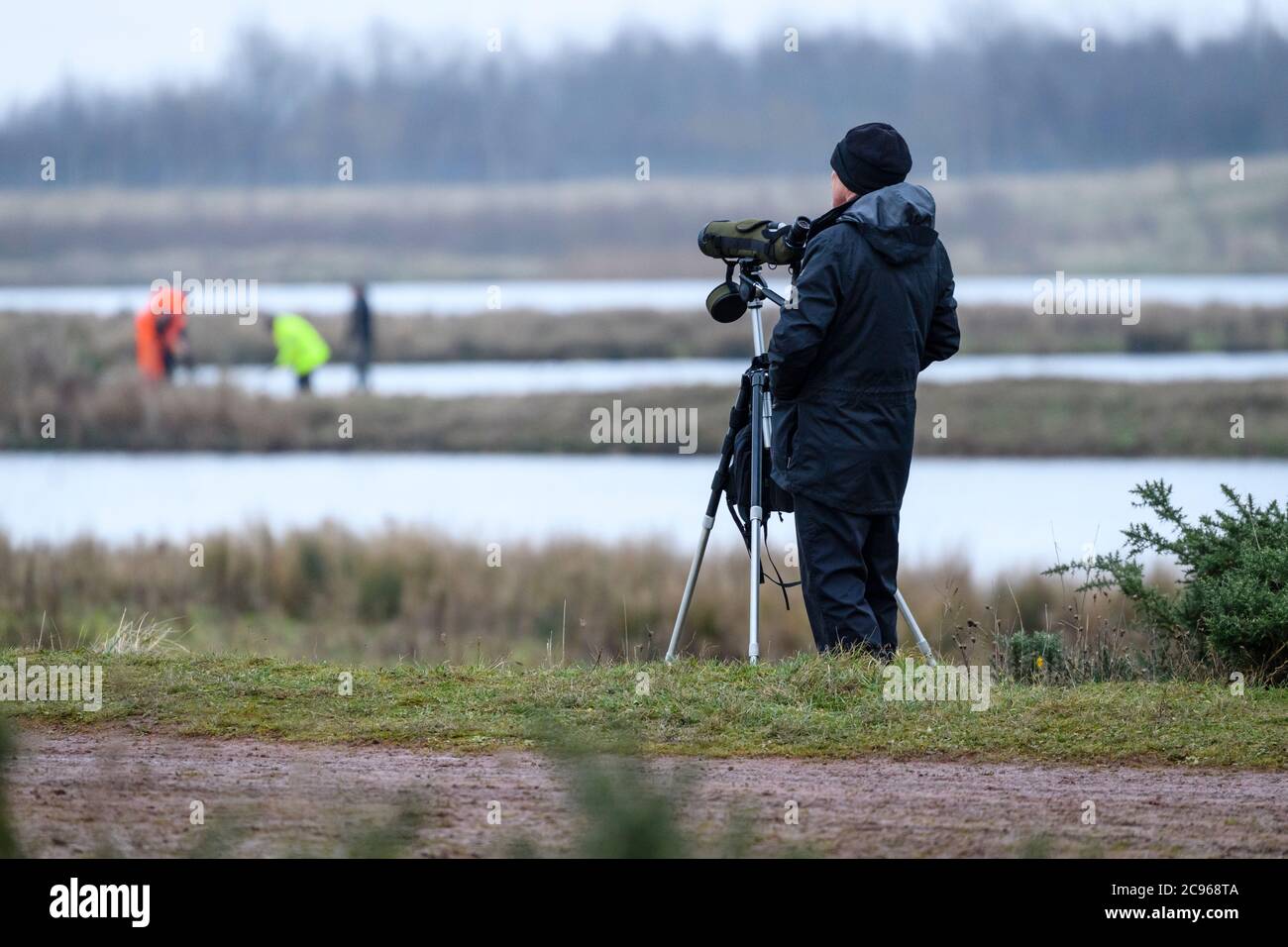 Man (birdwatcher) standing by telescope on tripod & volunteers working ...