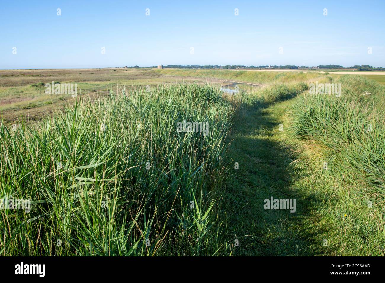 Coast path on flood defence sea wall with lagoon and vegetated shingle ...
