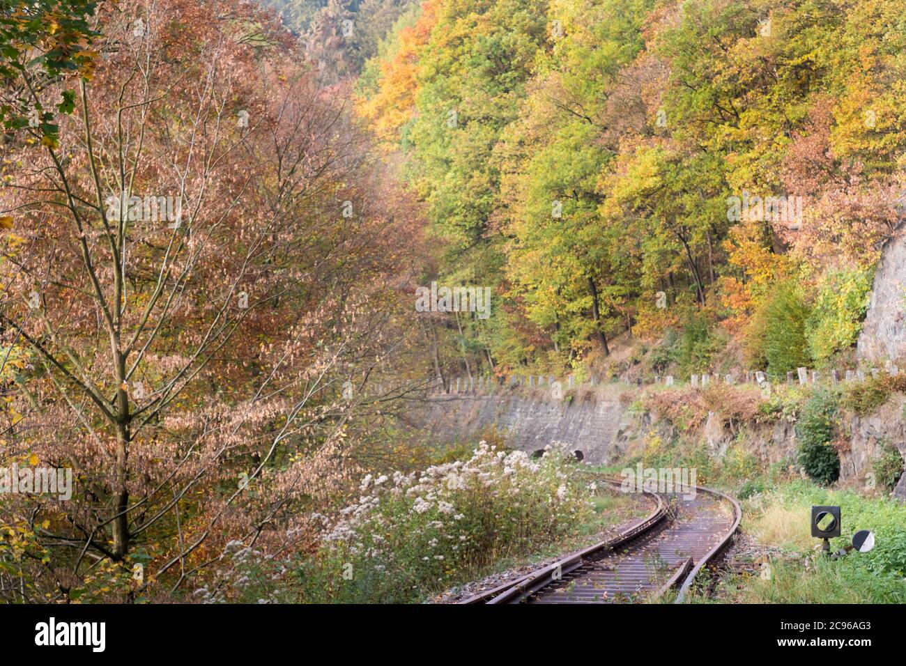 Old unused railway tracks in the forest hi-res stock photography and ...