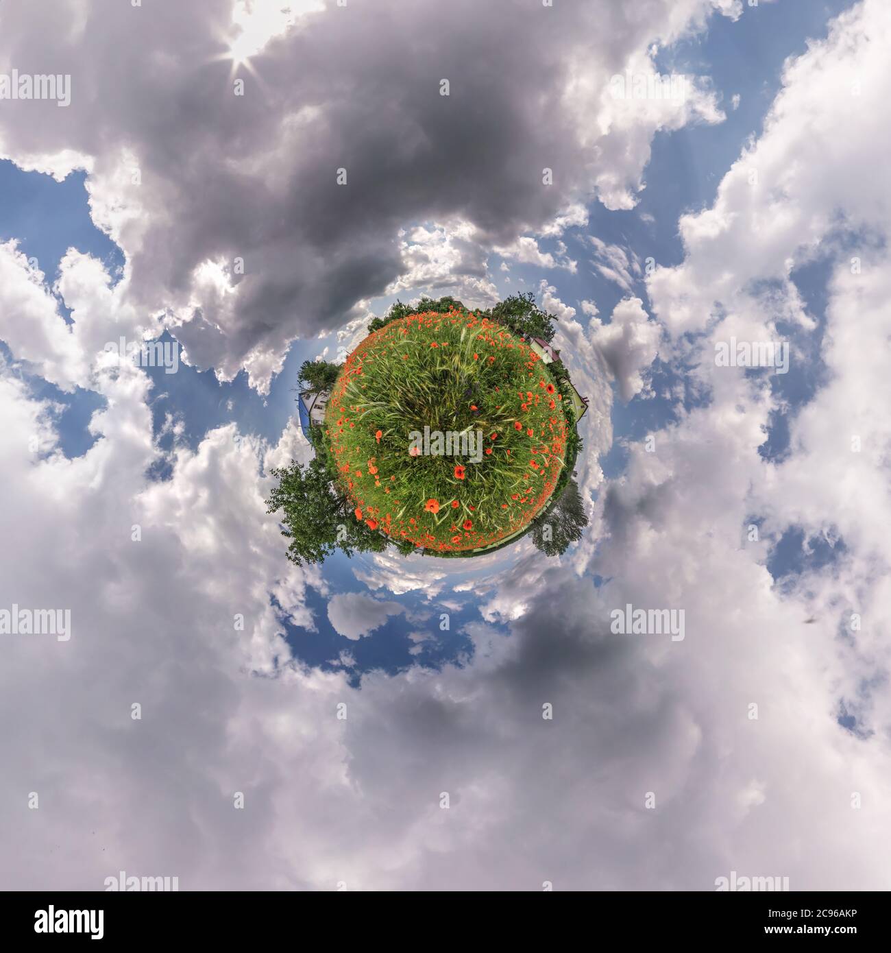 Projection poppy hi-res stock photography and images - Alamy