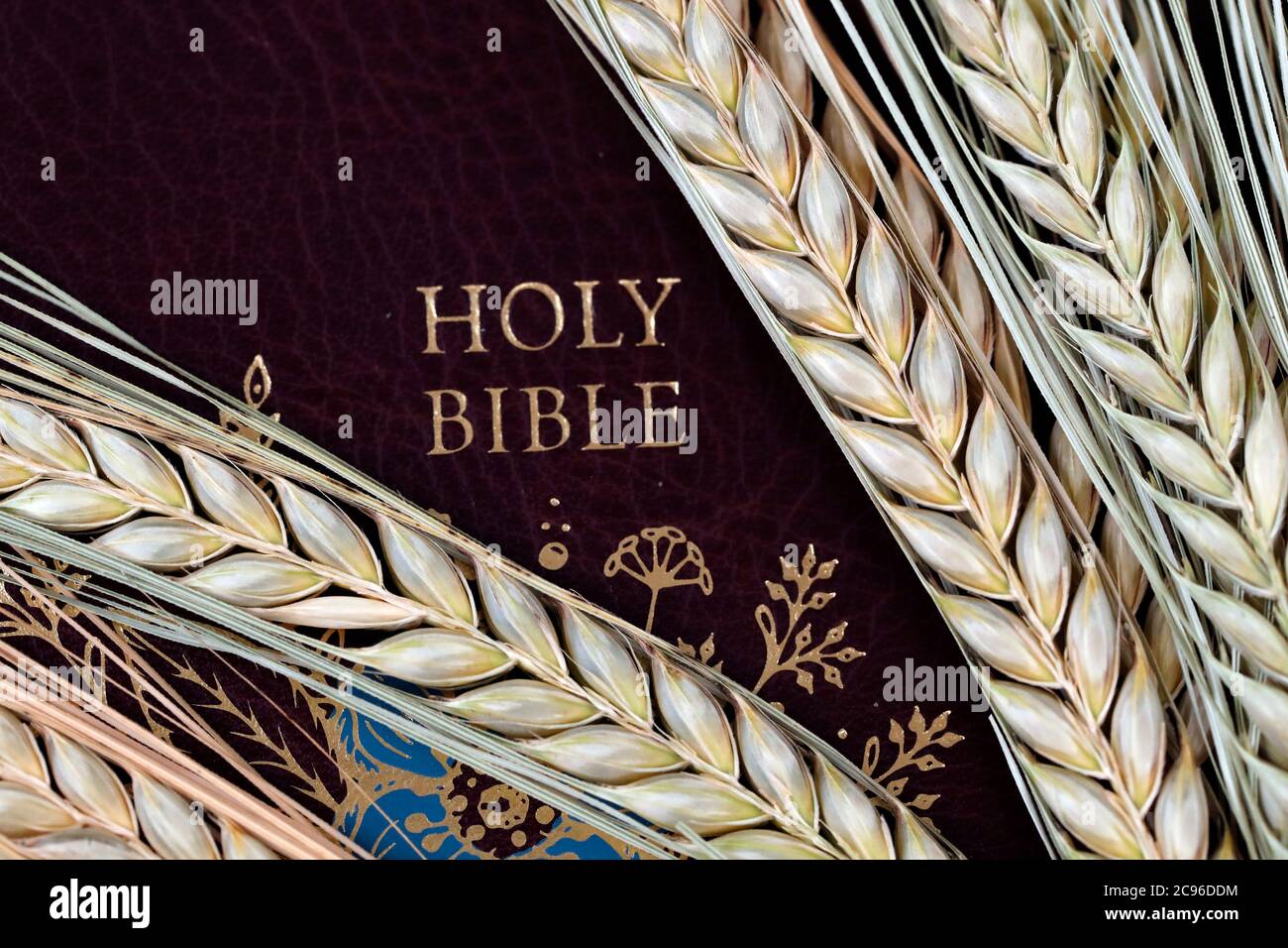 The sacred book of the Bible and ears of wheat as a symbol of spiritual ...