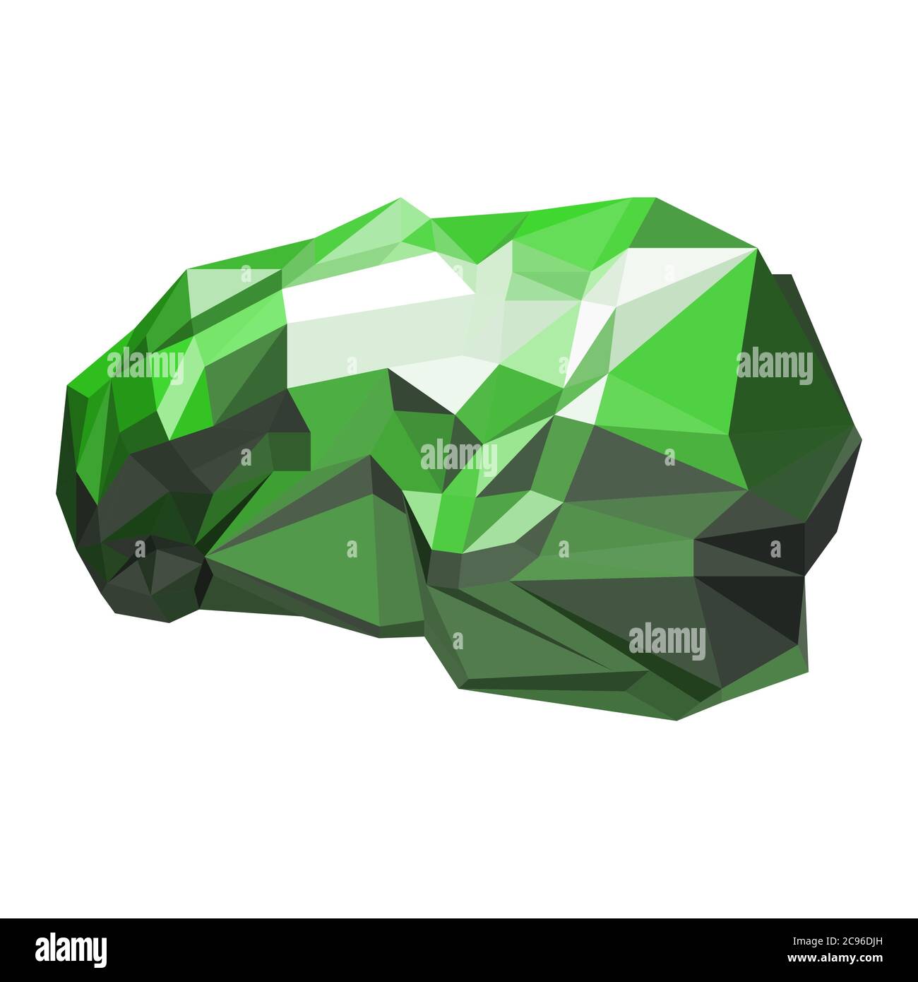 Low poly illustration of a human brain, green on white background Stock ...
