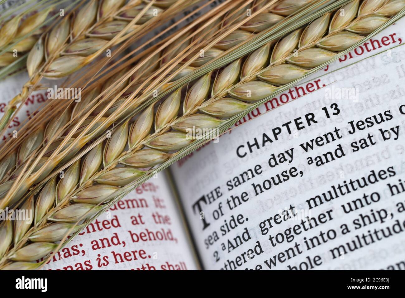 The sacred book of the Bible and ears of wheat as a symbol of spiritual ...