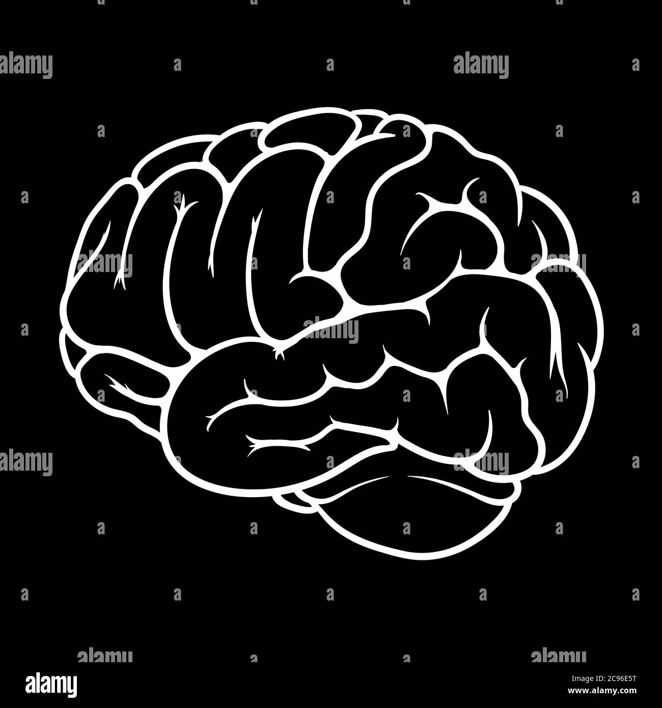 Black And White Human Brain