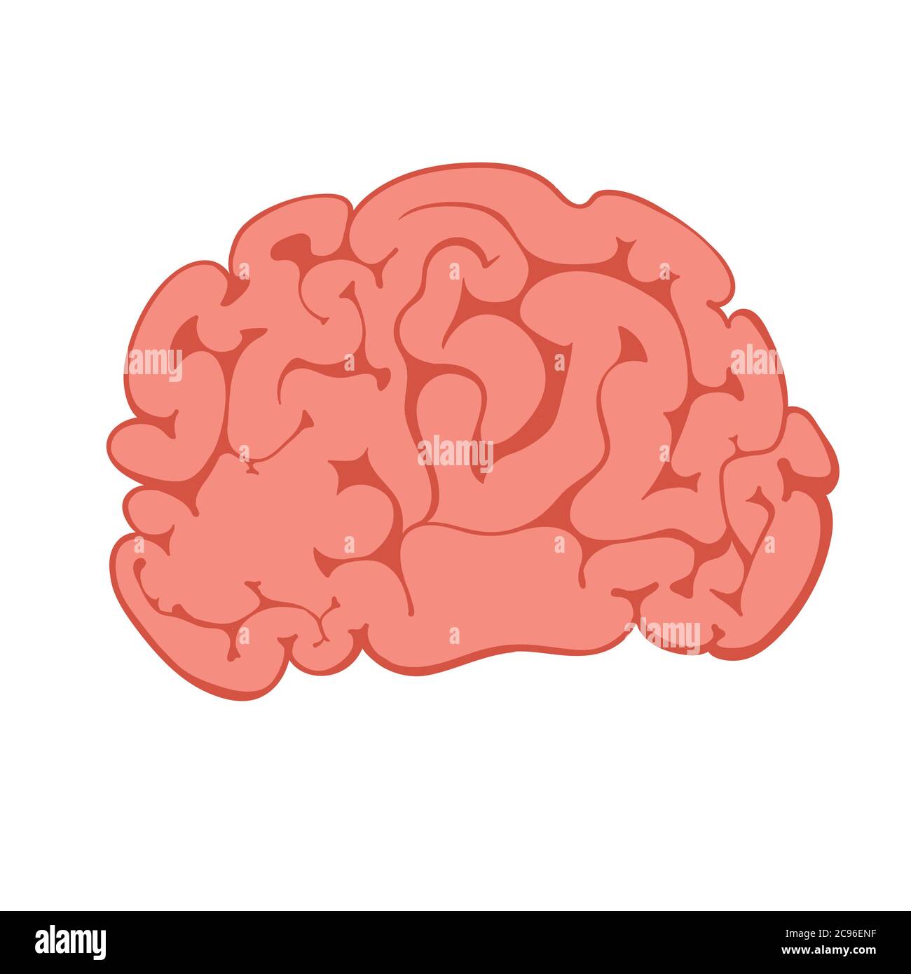 Cerveau Animé