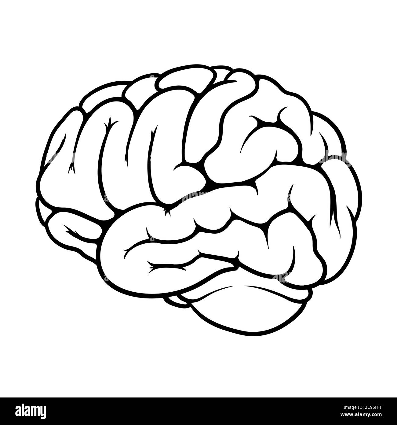 Brain Black And White Vector