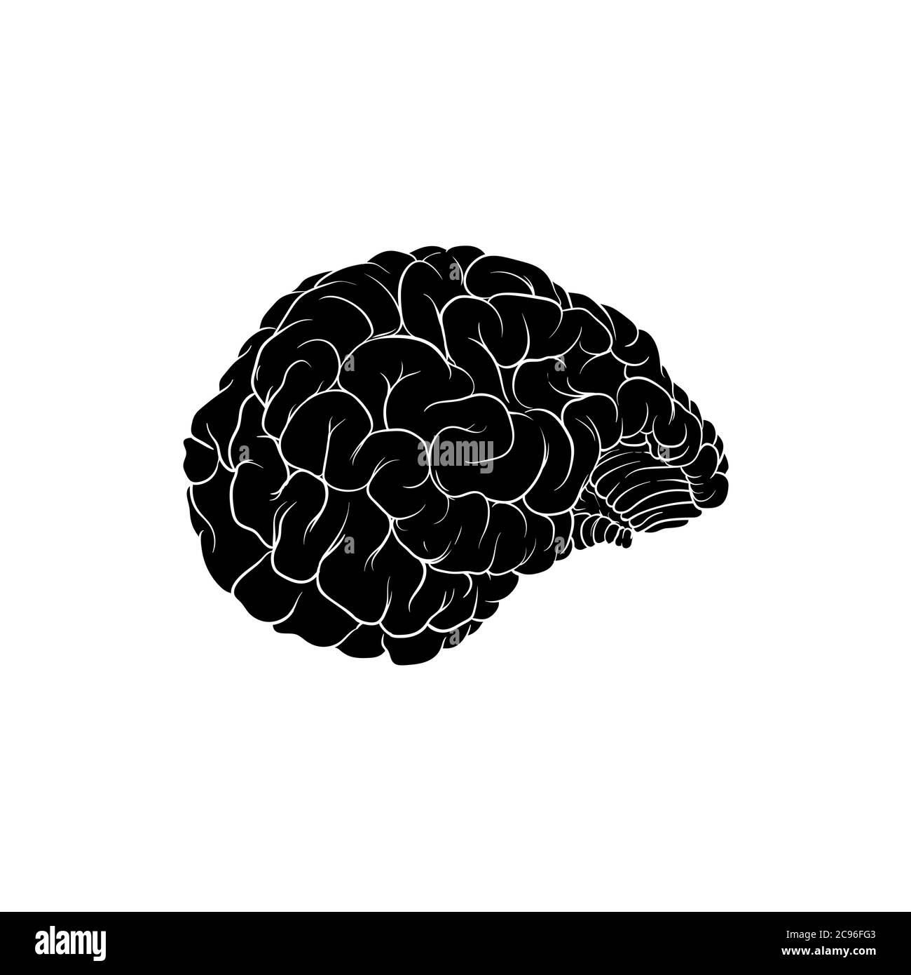 White outline of the human brain, realistic shapes Stock Vector Image ...