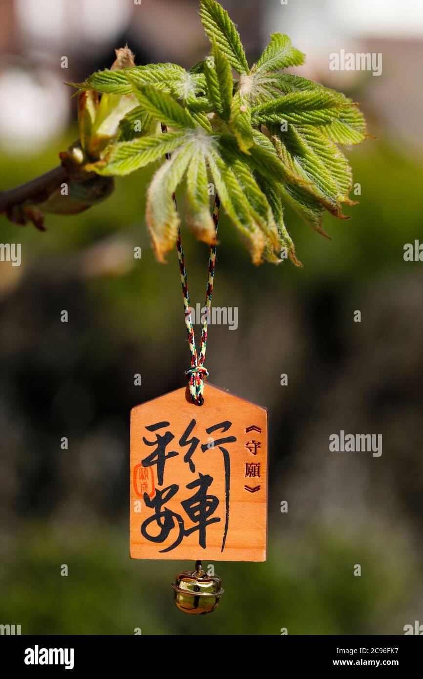Buddhist chinese scriptures on wood. France Stock Photo - Alamy