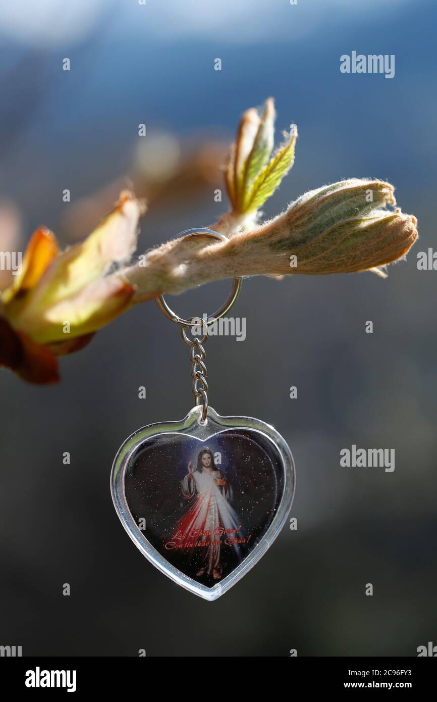 Keyring Jesus Mercy and bud symbol of life that triumphs over obstacles ...