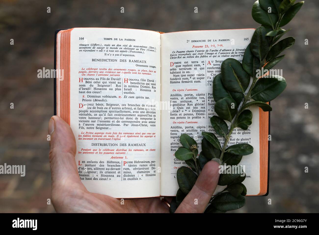 Palm sunday, French missal Stock Photo - Alamy
