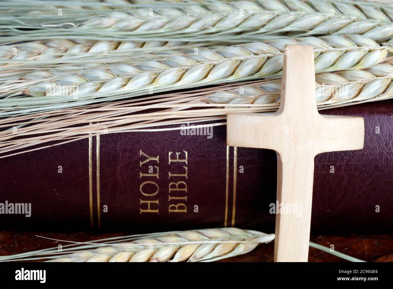 The sacred book of the Bible and ears of wheat as a symbol of spiritual ...