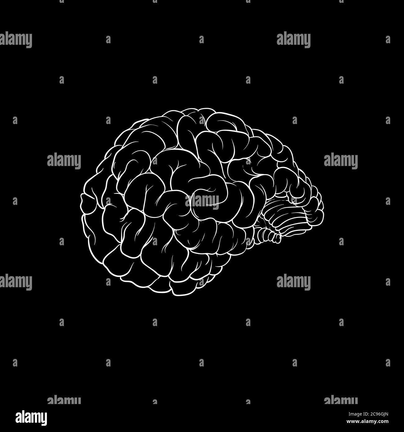 Realistic illustration of the human brain on black background, vector ...