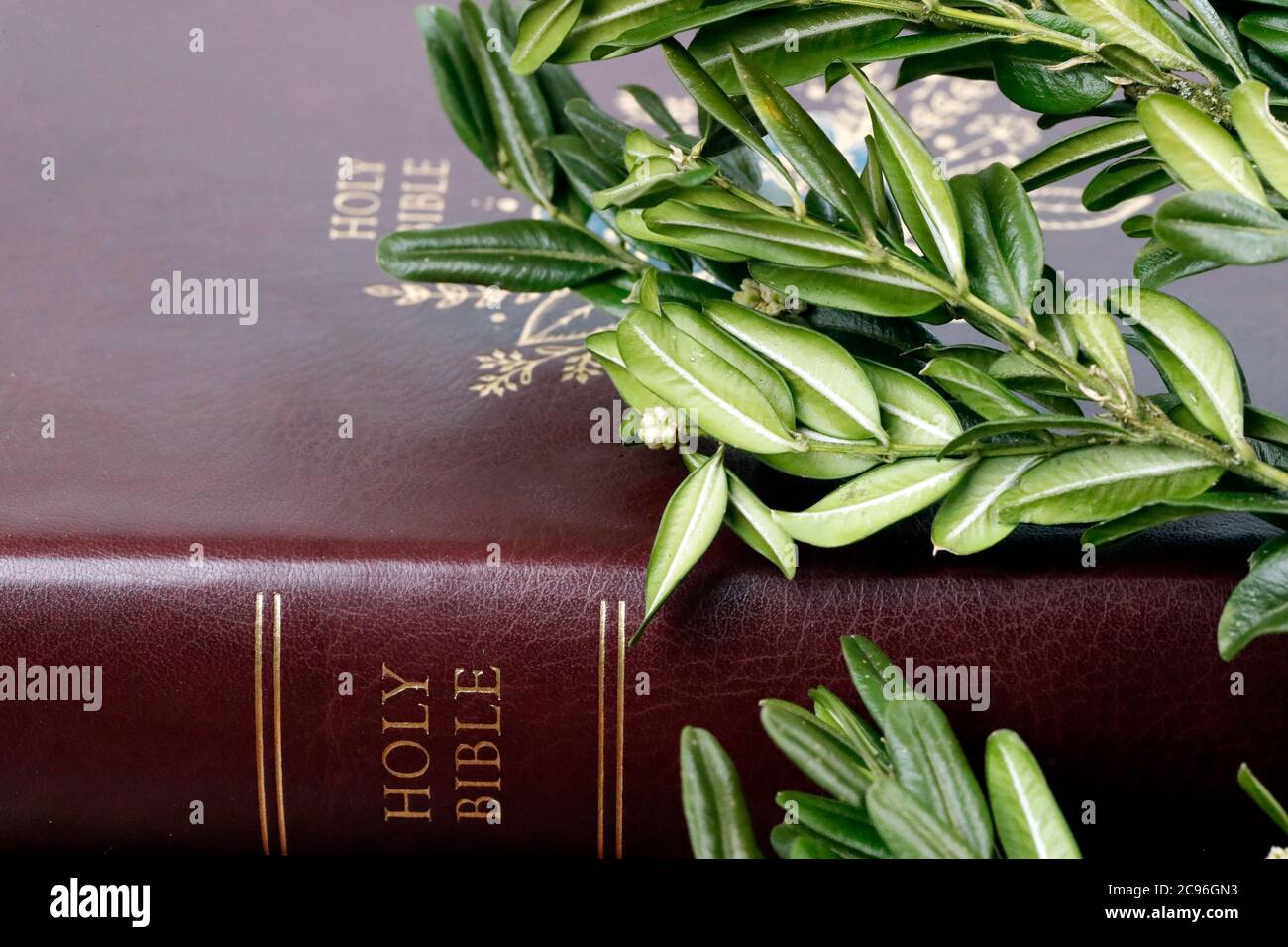 Bible and boxwood branch. Holy week and Palm Sunday celebration. France ...