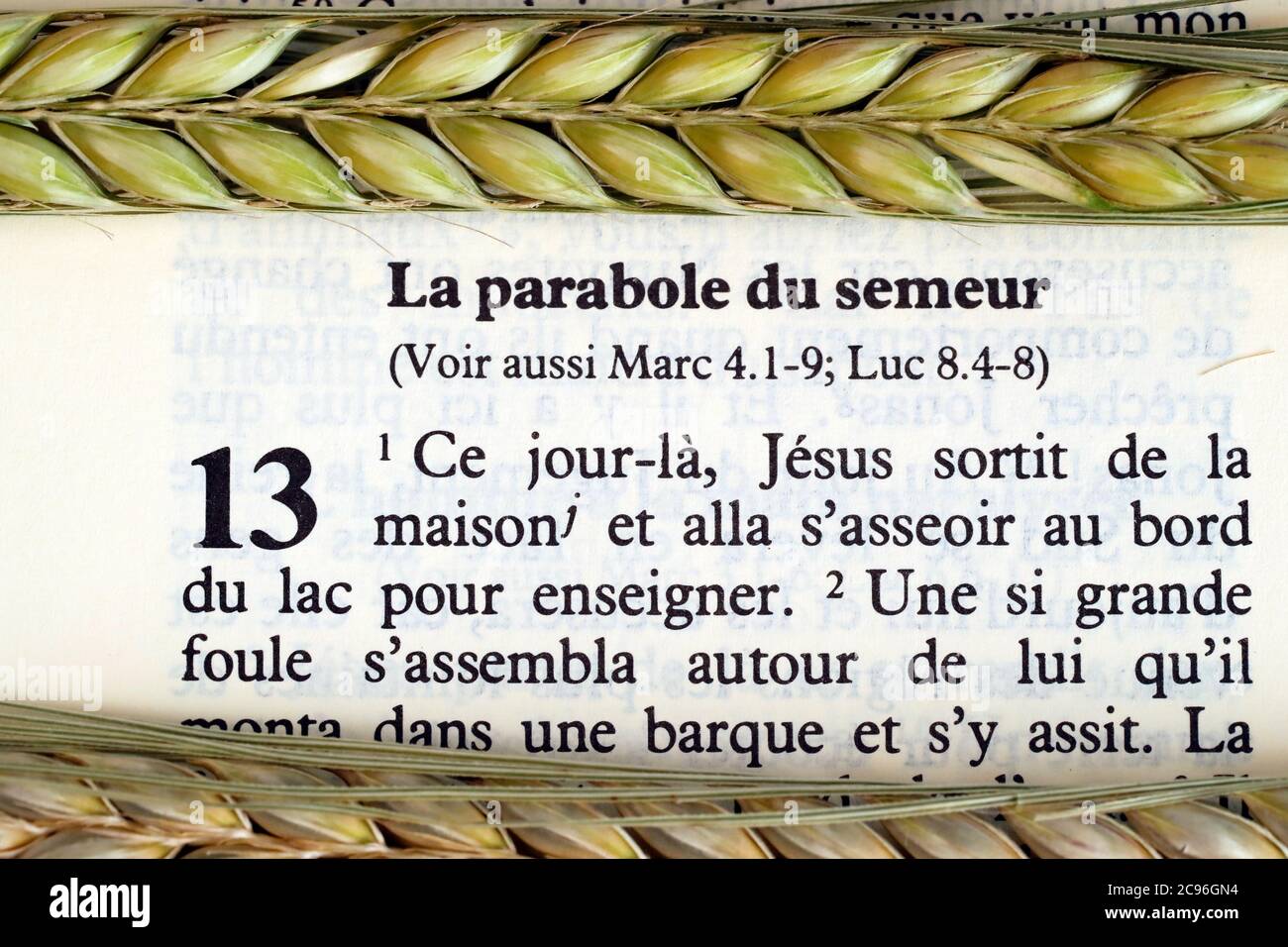 The sacred book of the Bible and ears of wheat as a symbol of spiritual ...