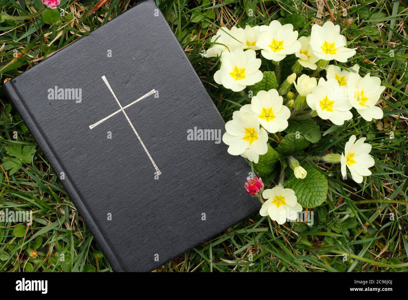 Bible on the grass with primrose at springtime. France Stock Photo - Alamy