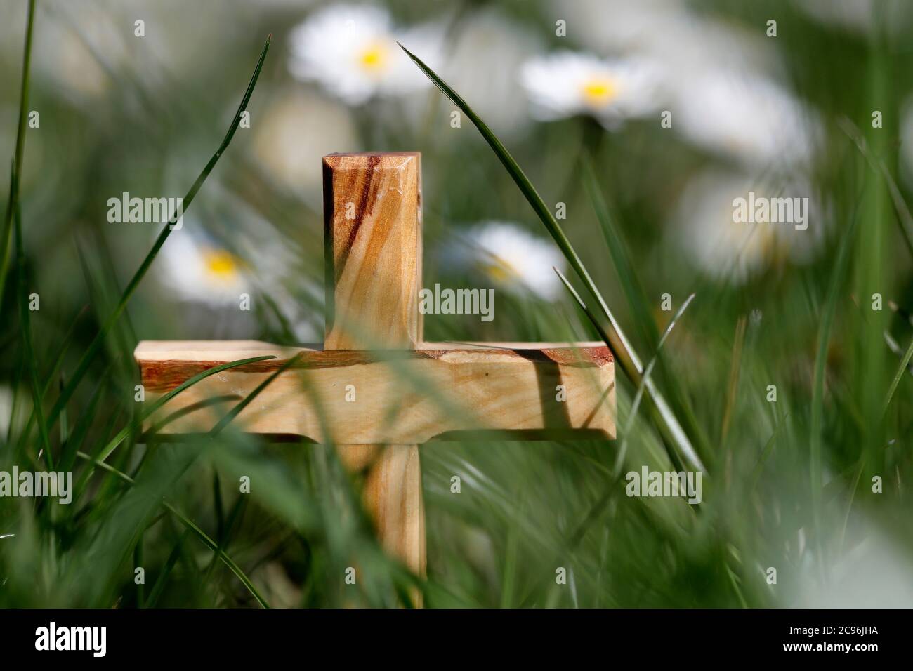 Wooden grass hi-res stock photography and images - Alamy