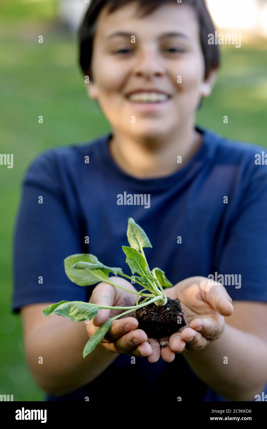 Boy holding a plant sprout in Eure, France Stock Photo - Alamy