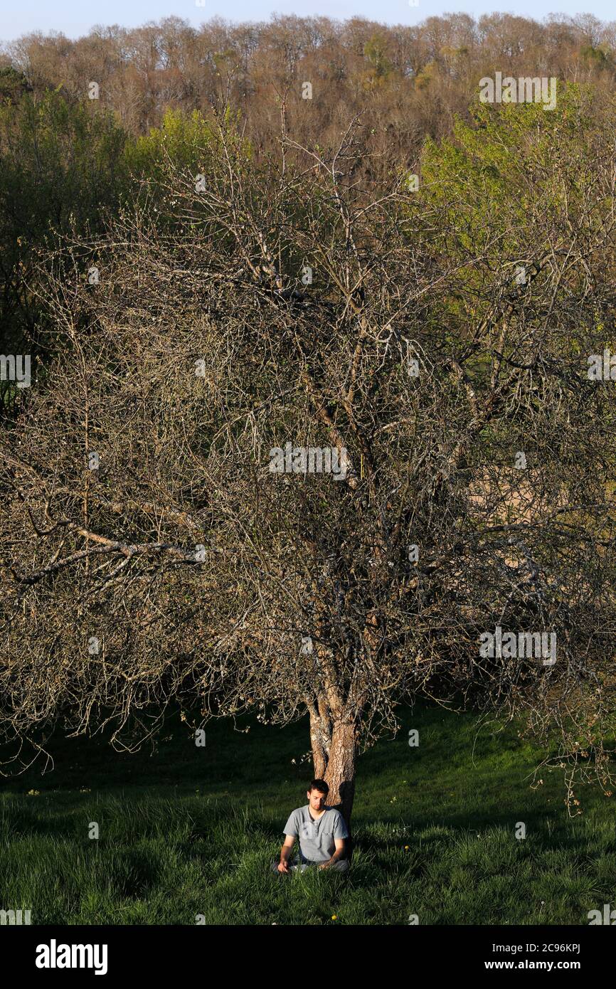 Man sitting under tree reading hi-res stock photography and images - Alamy