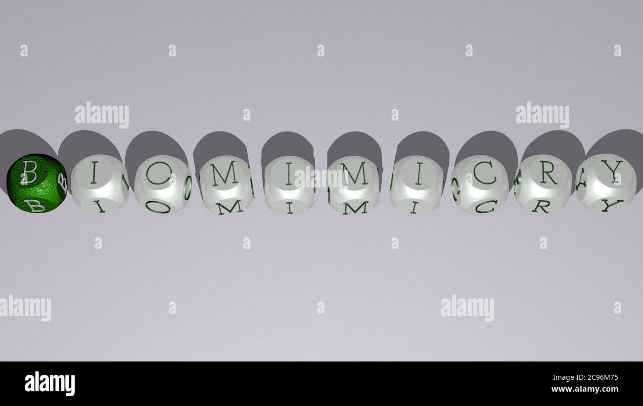 combination of BIOMIMICRY built by cubic letters from the top ...